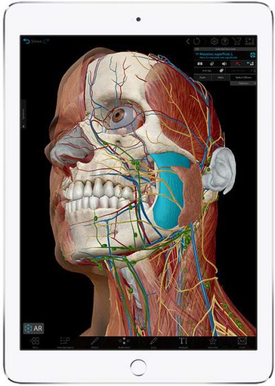 Visible Body - Translation Case Study | Apex Translations, Inc.
