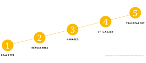 Localization Maturity Model | Apex Translations, Inc.
