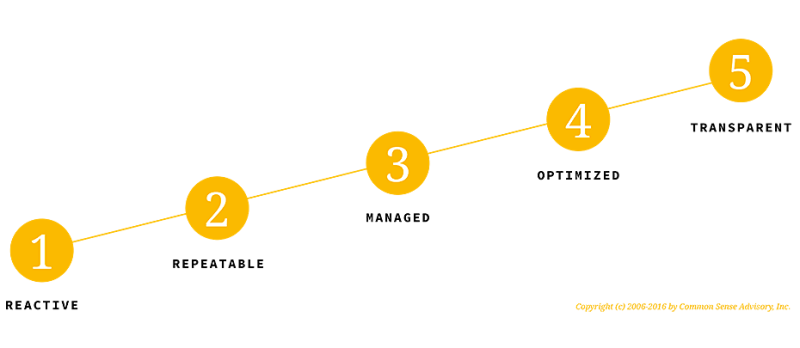 Localization Maturity Model | Apex Translations, Inc.
